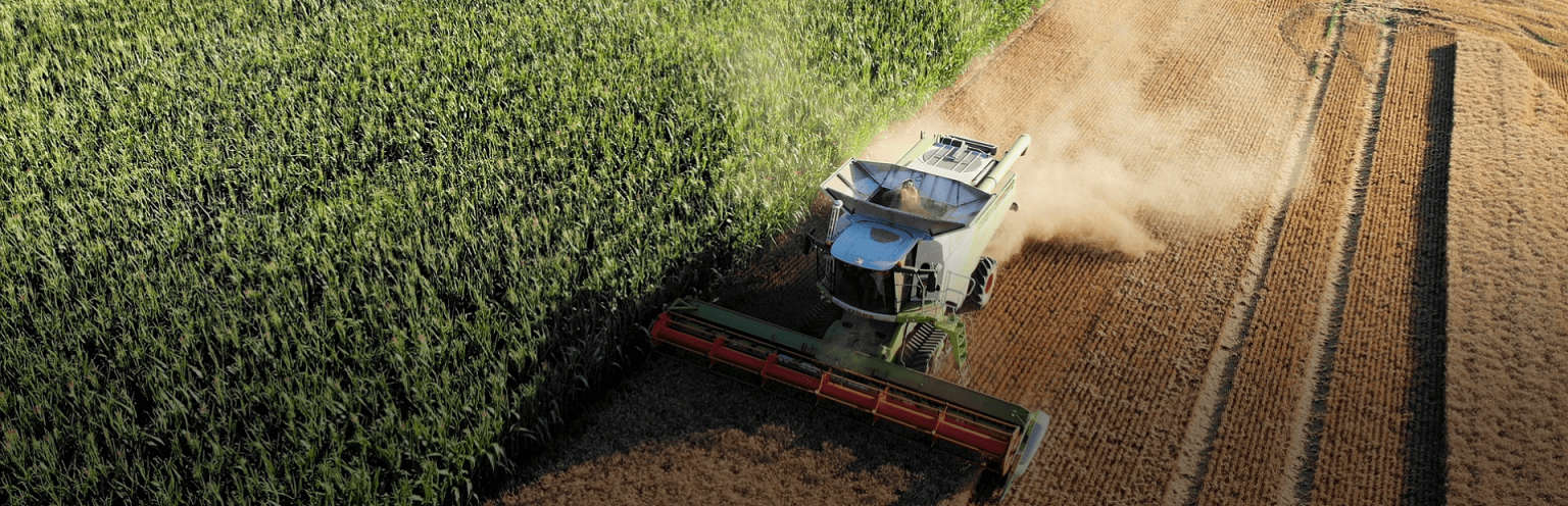 COASUL COOPERATIVA AGROINDUSTRIAL